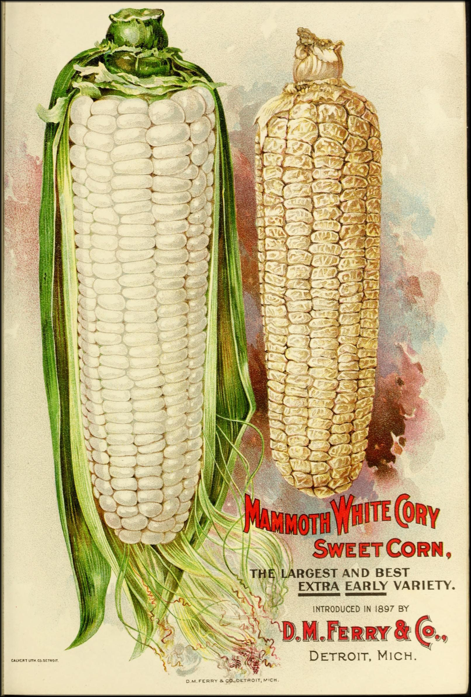 Buying Specialty Cornsall things hominy